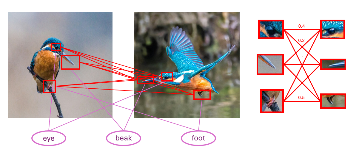 Object Tracking — Python documentation